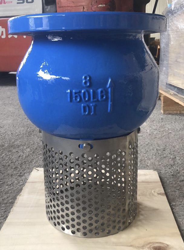 Foot Check Valve Bottom valve 底閥